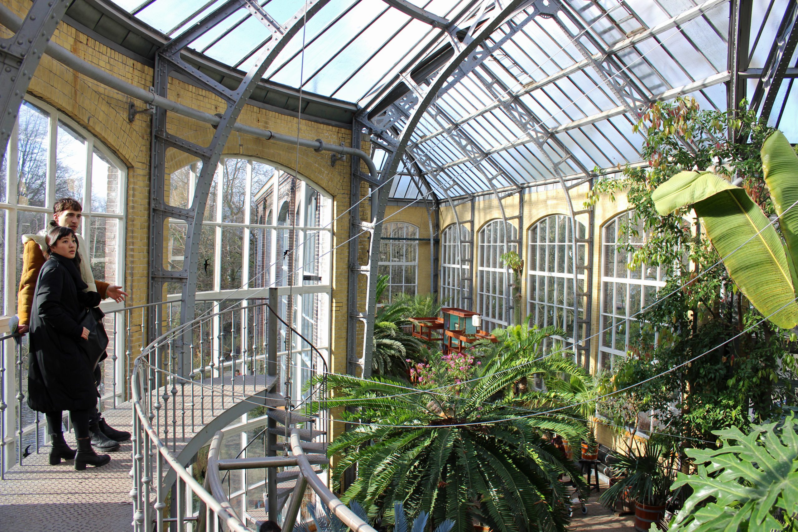 De Hortus Botanical Garden Amsterdam | Fasci Garden